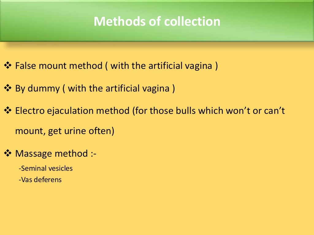 Collection And Preservation Of Bull Semen