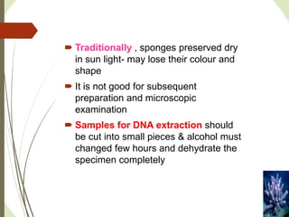 Collection and preservation of sponges and echinoderms | PPTX