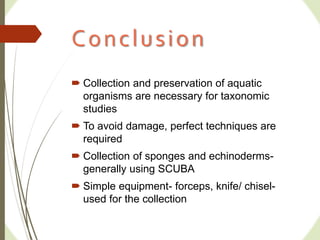 Collection and preservation of sponges and echinoderms | PPTX