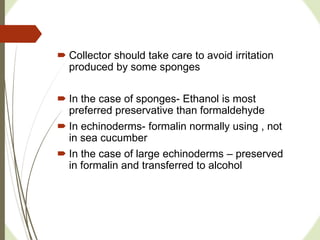 Collection and preservation of sponges and echinoderms | PPTX