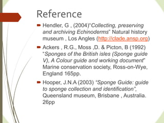 Collection and preservation of sponges and echinoderms | PPTX
