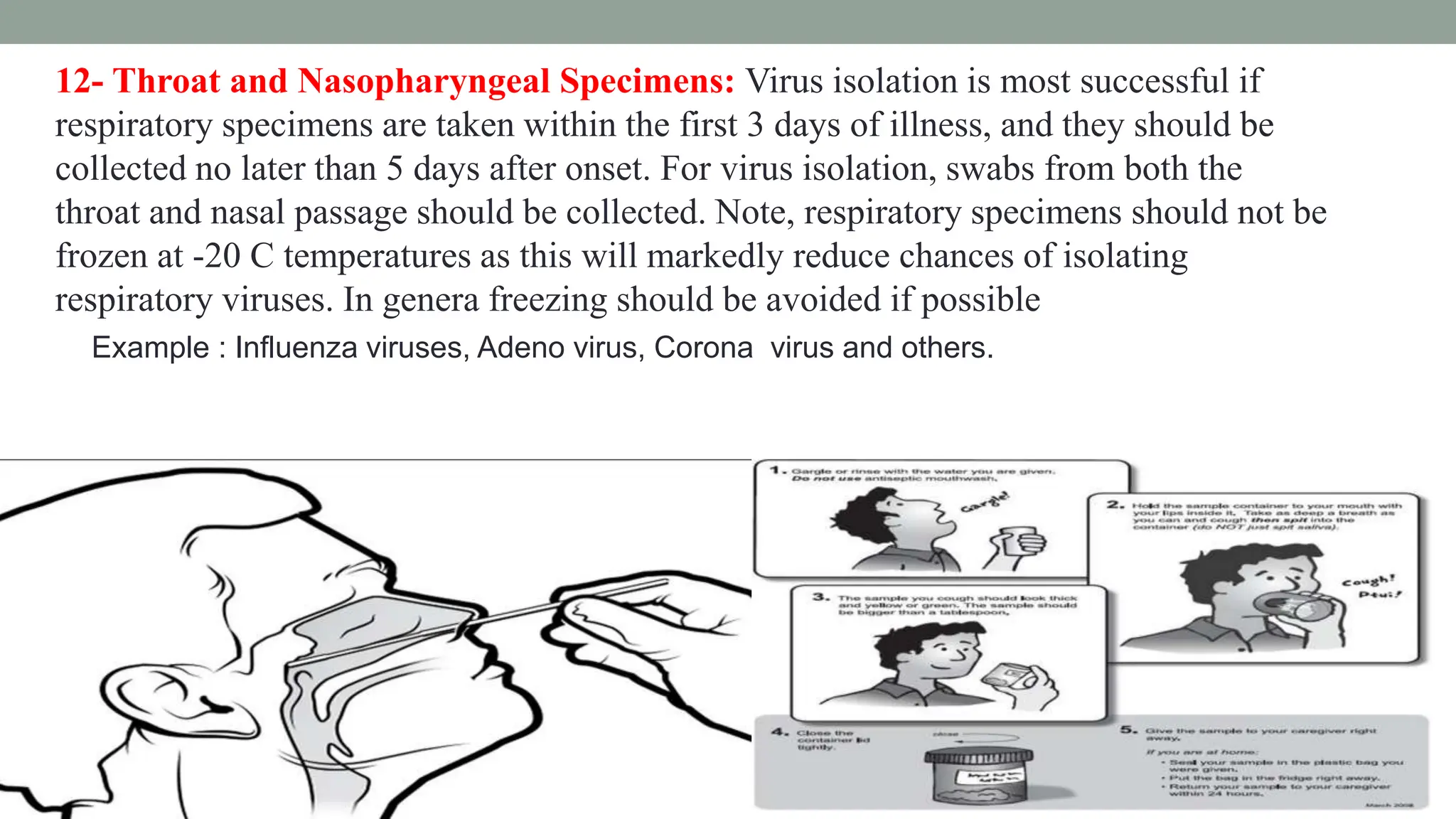 collection and preservation of virus.pptx