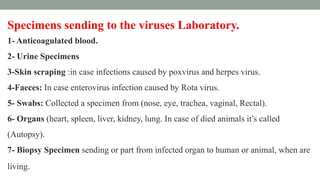 collection and preservation of virus.pptx