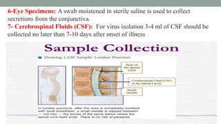 collection and preservation of virus.pptx