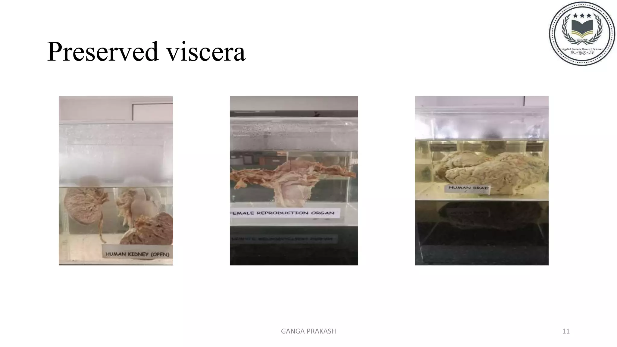 Collection and preservation of viscera for poison | PPTX