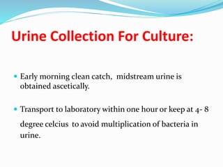 Collection and Processing of Microbiological Specimen Slides.pptx