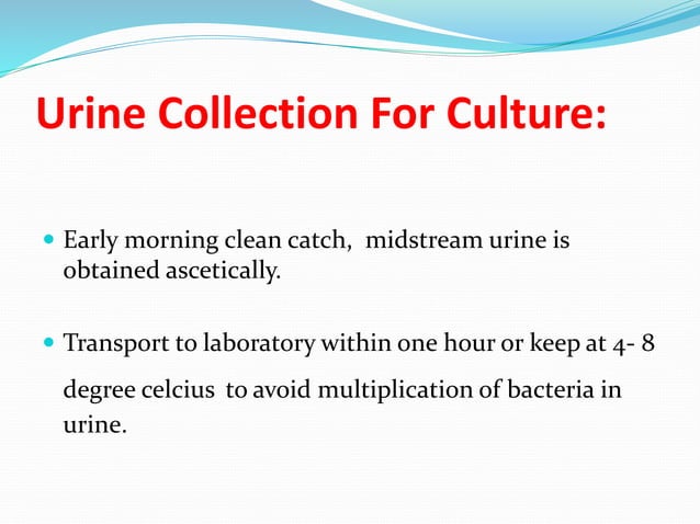 Collection and Processing of Microbiological Specimen Slides.pptx | Ear ...