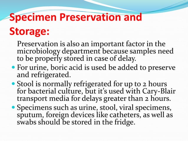 Collection and Processing of Microbiological Specimen Slides.pptx | Ear, Nose and Throat ...