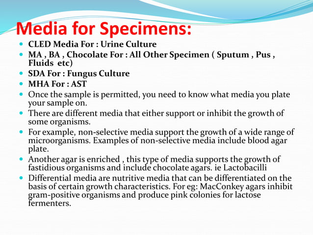 Collection and Processing of Microbiological Specimen Slides.pptx | Ear, Nose and Throat ...