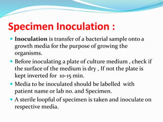 Collection and Processing of Microbiological Specimen Slides.pptx