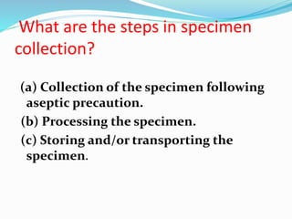 Collection and Processing of Microbiological Specimen Slides.pptx