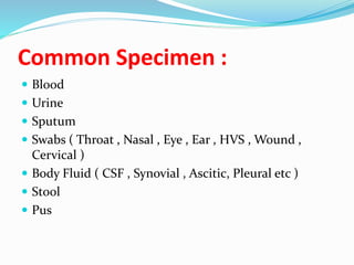 Collection and Processing of Microbiological Specimen Slides.pptx