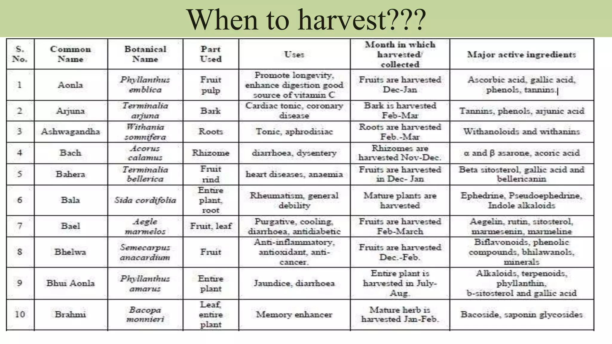 Collection and storage techniques of different plant parts of medicinal ...