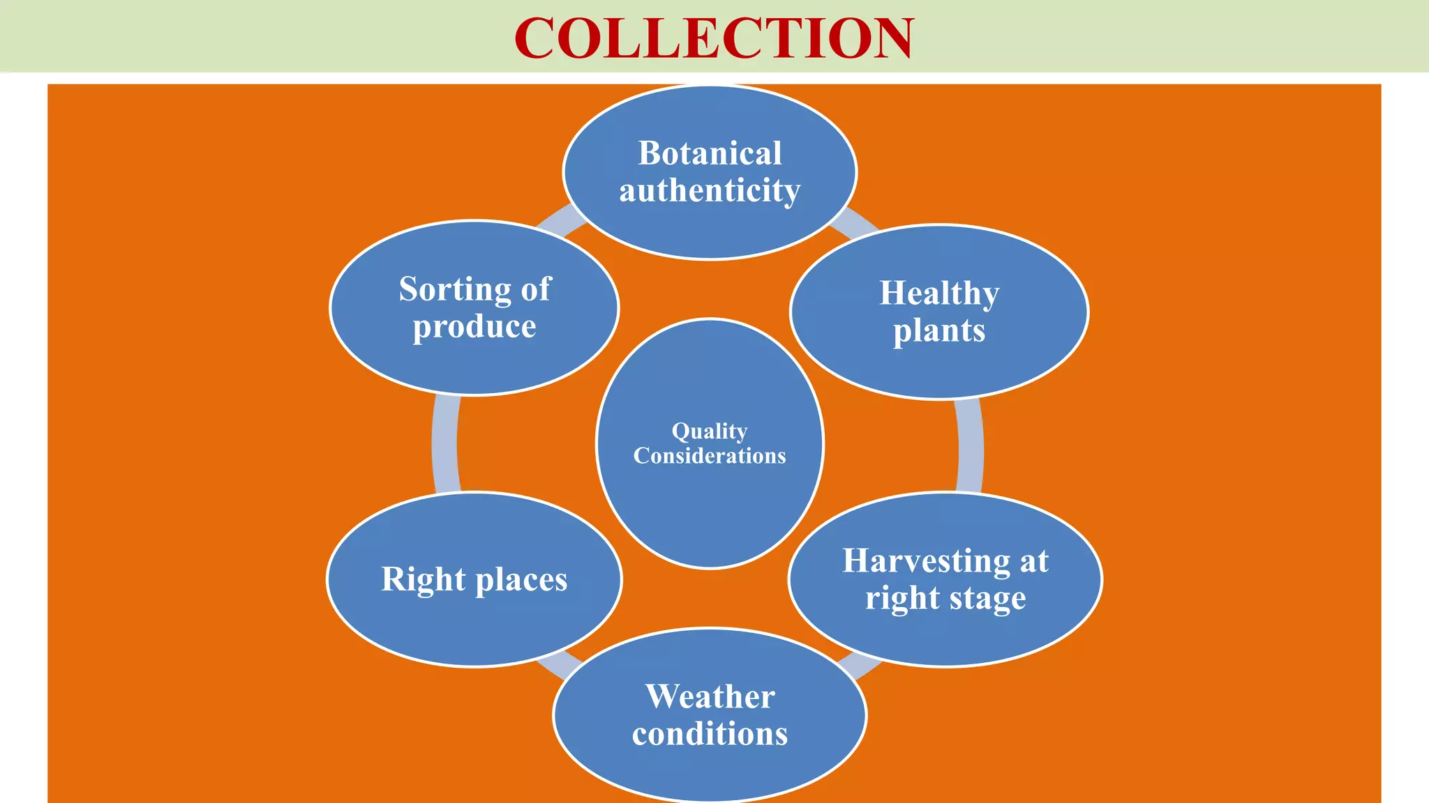 Collection and storage techniques of different plant parts of medicinal ...