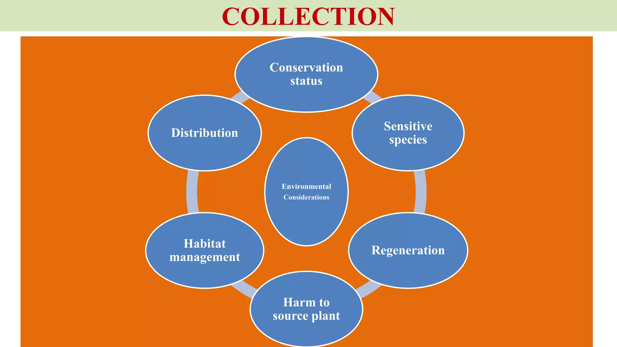 Collection and storage techniques of different plant parts of medicinal ...