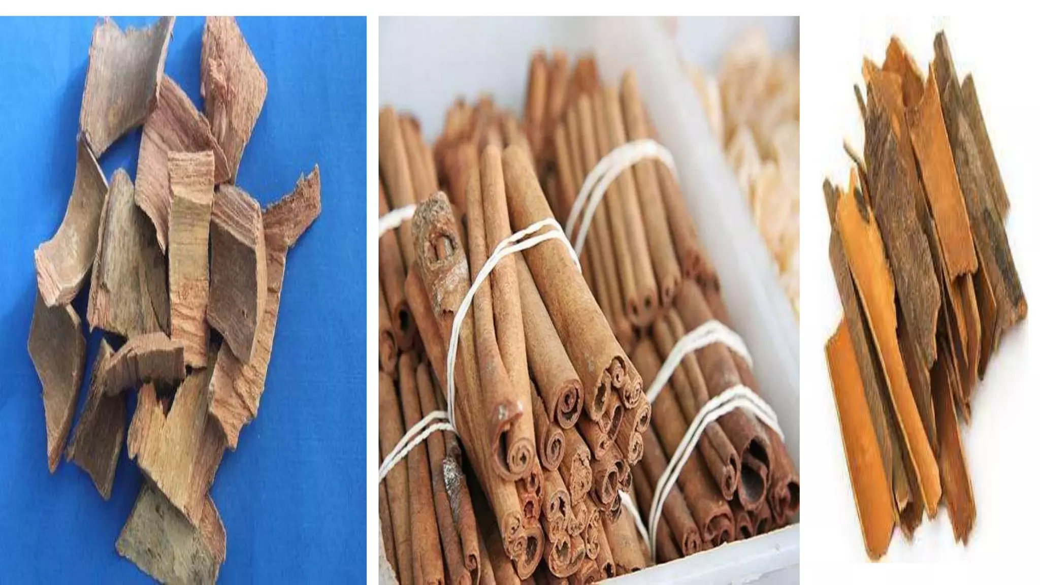 Collection and storage techniques of different plant parts of medicinal ...