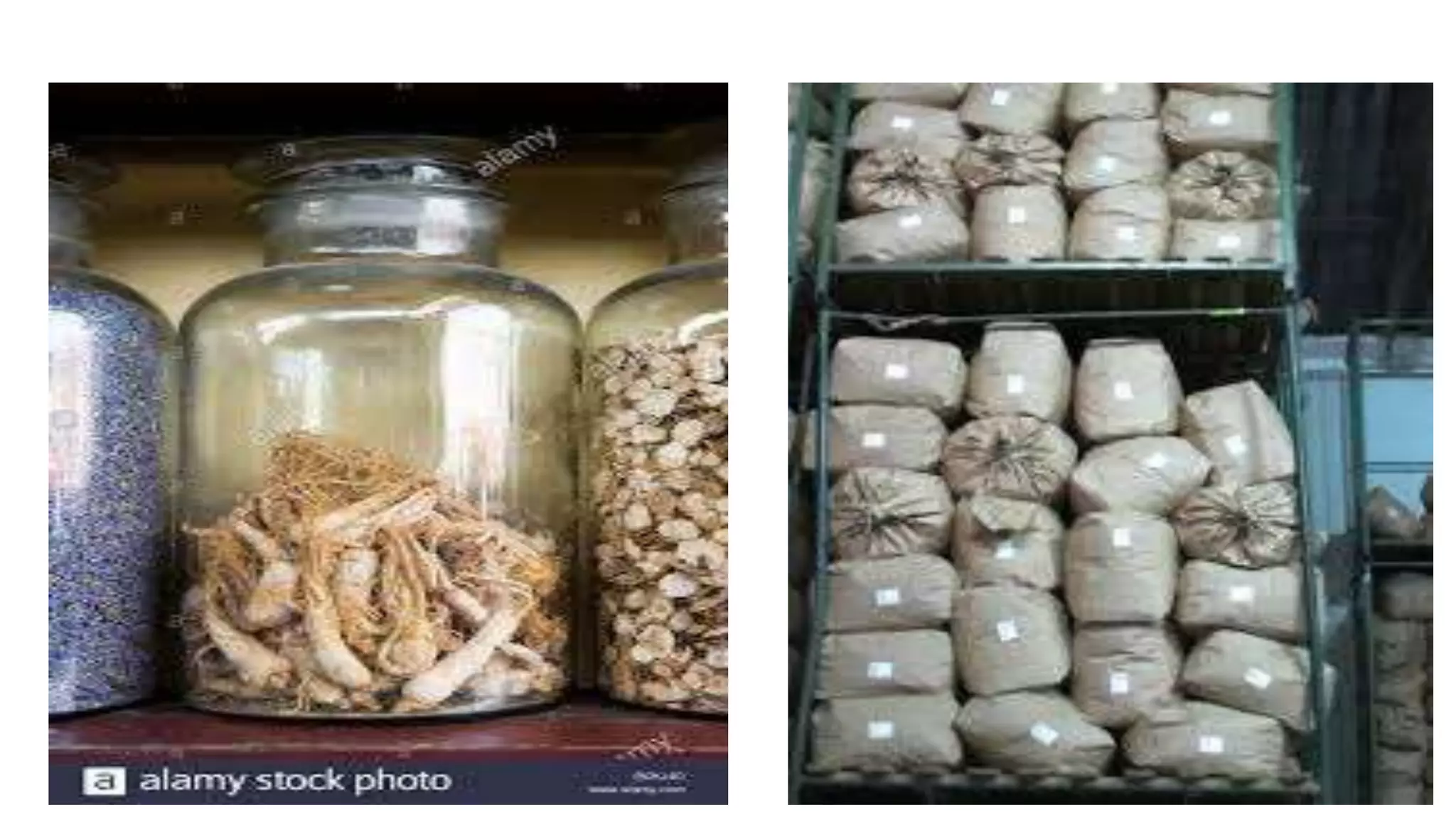 Collection and storage techniques of different plant parts of medicinal ...