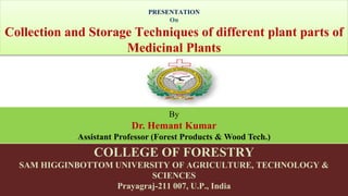 Collection and storage techniques of different plant parts of medicinal ...