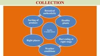 Collection and storage techniques of different plant parts of medicinal ...