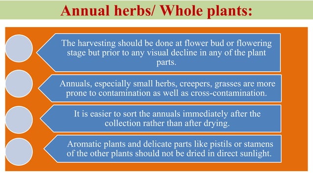 Collection and storage techniques of different plant parts of medicinal ...