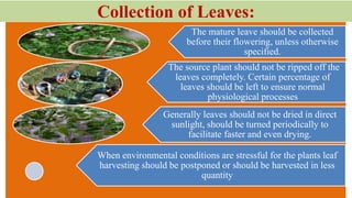 Collection and storage techniques of different plant parts of medicinal ...