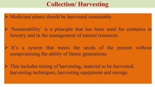Collection and storage techniques of different plant parts of medicinal ...
