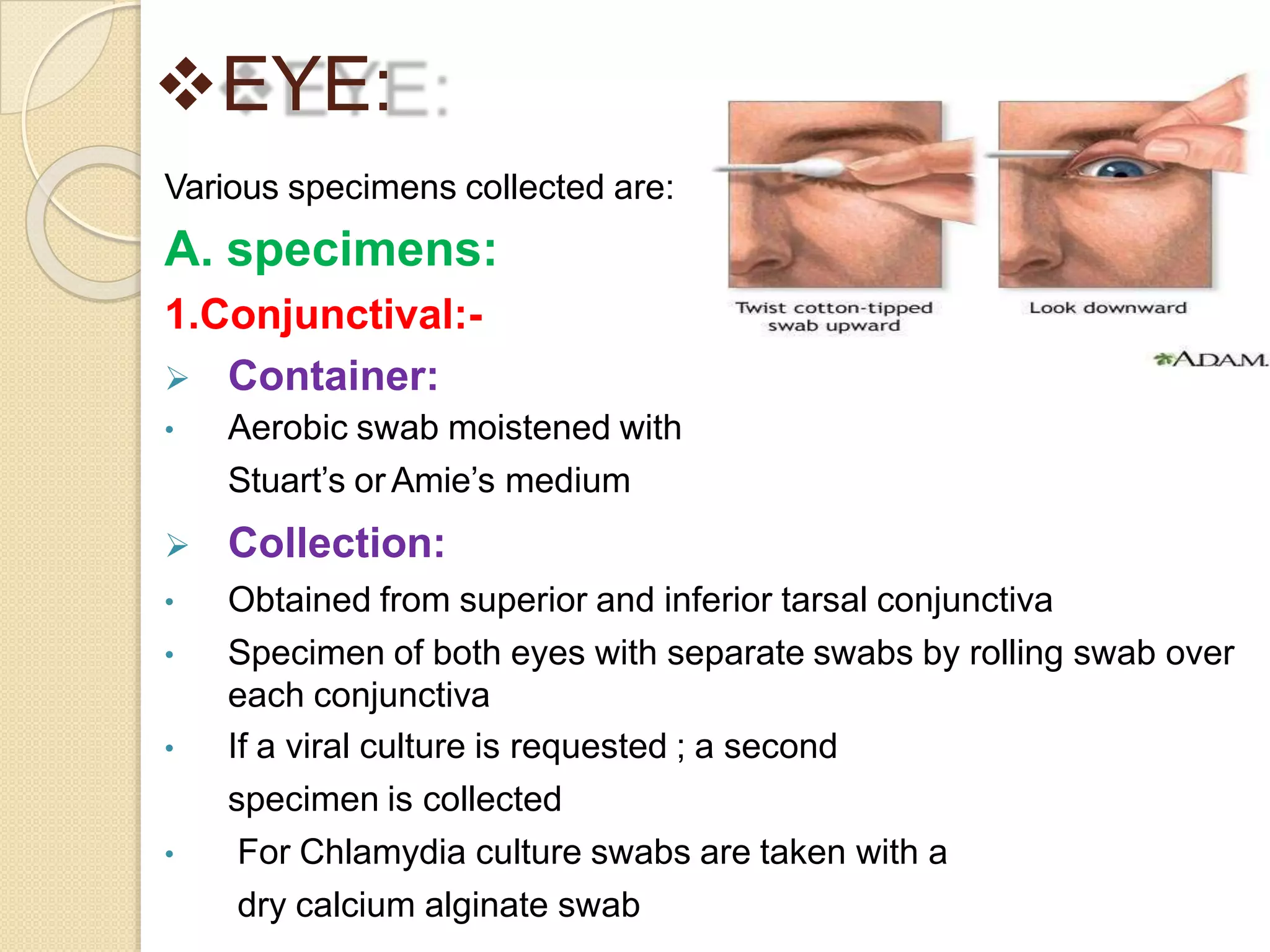 specimen collection and transport | PPTX