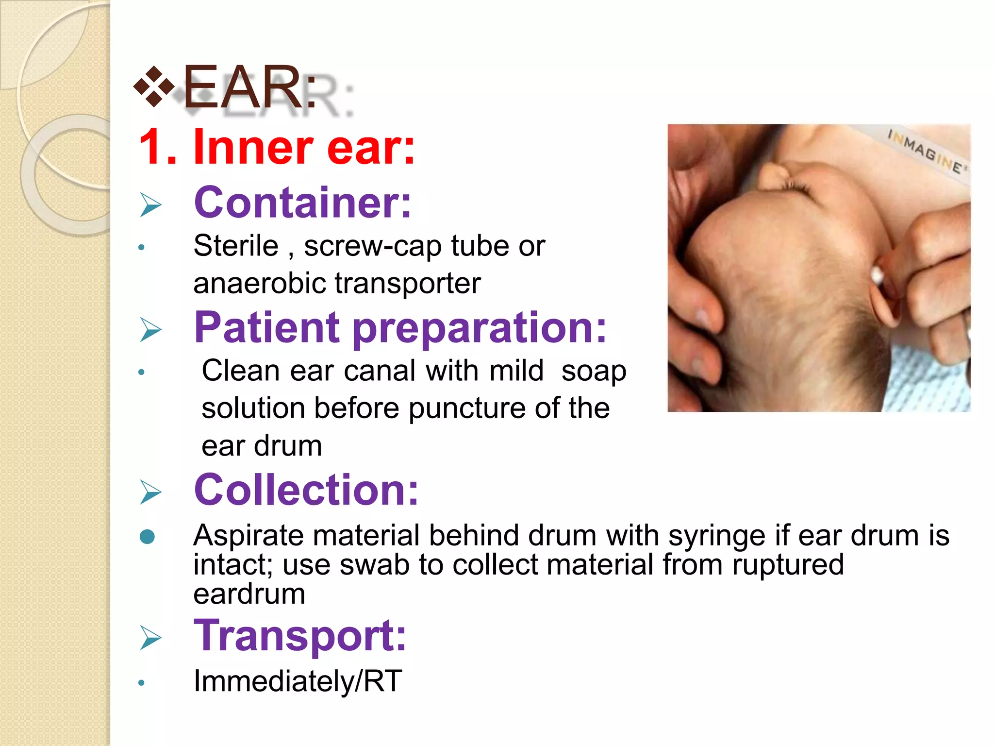 specimen collection and transport | PPTX