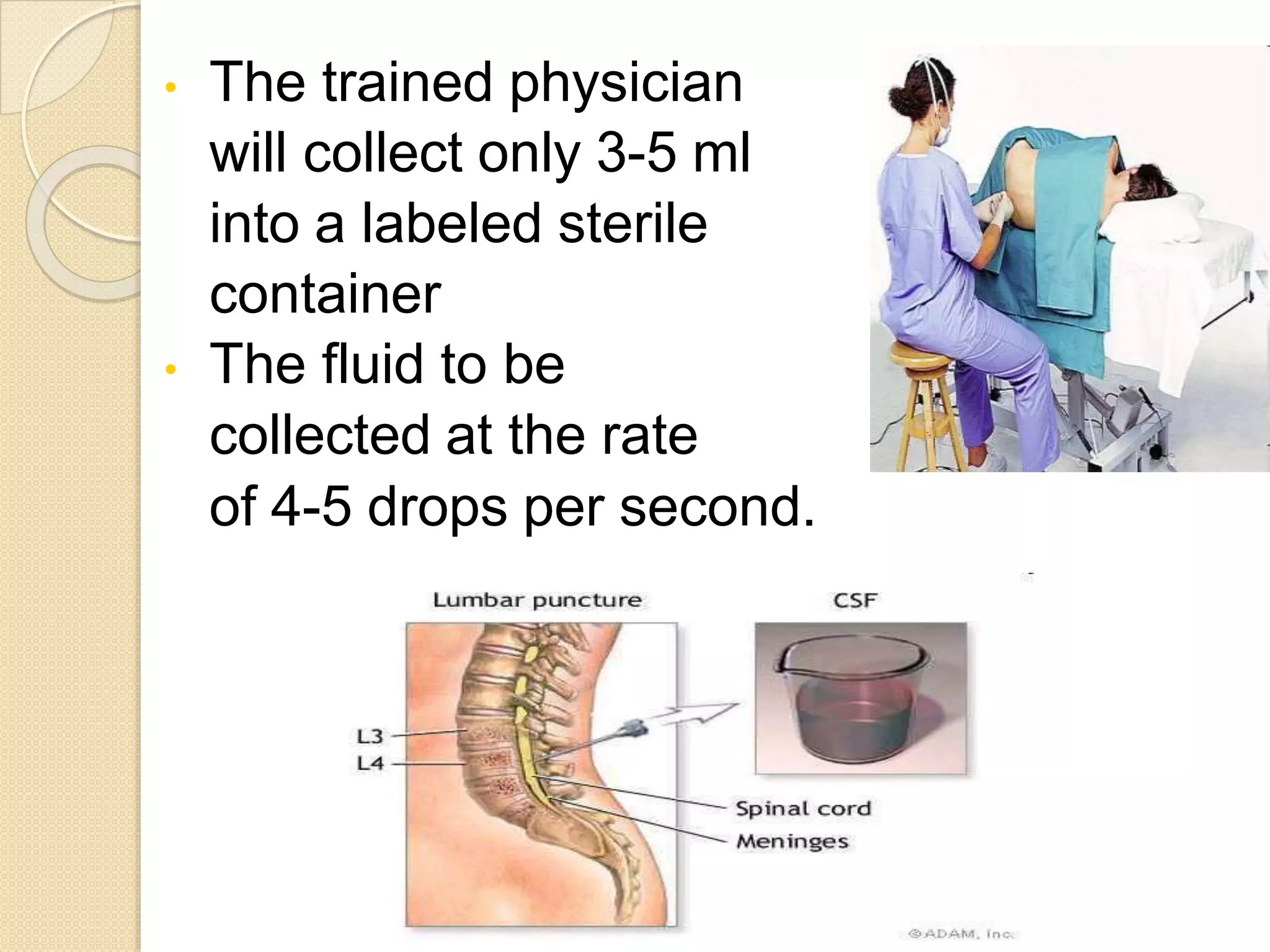specimen collection and transport | PPTX