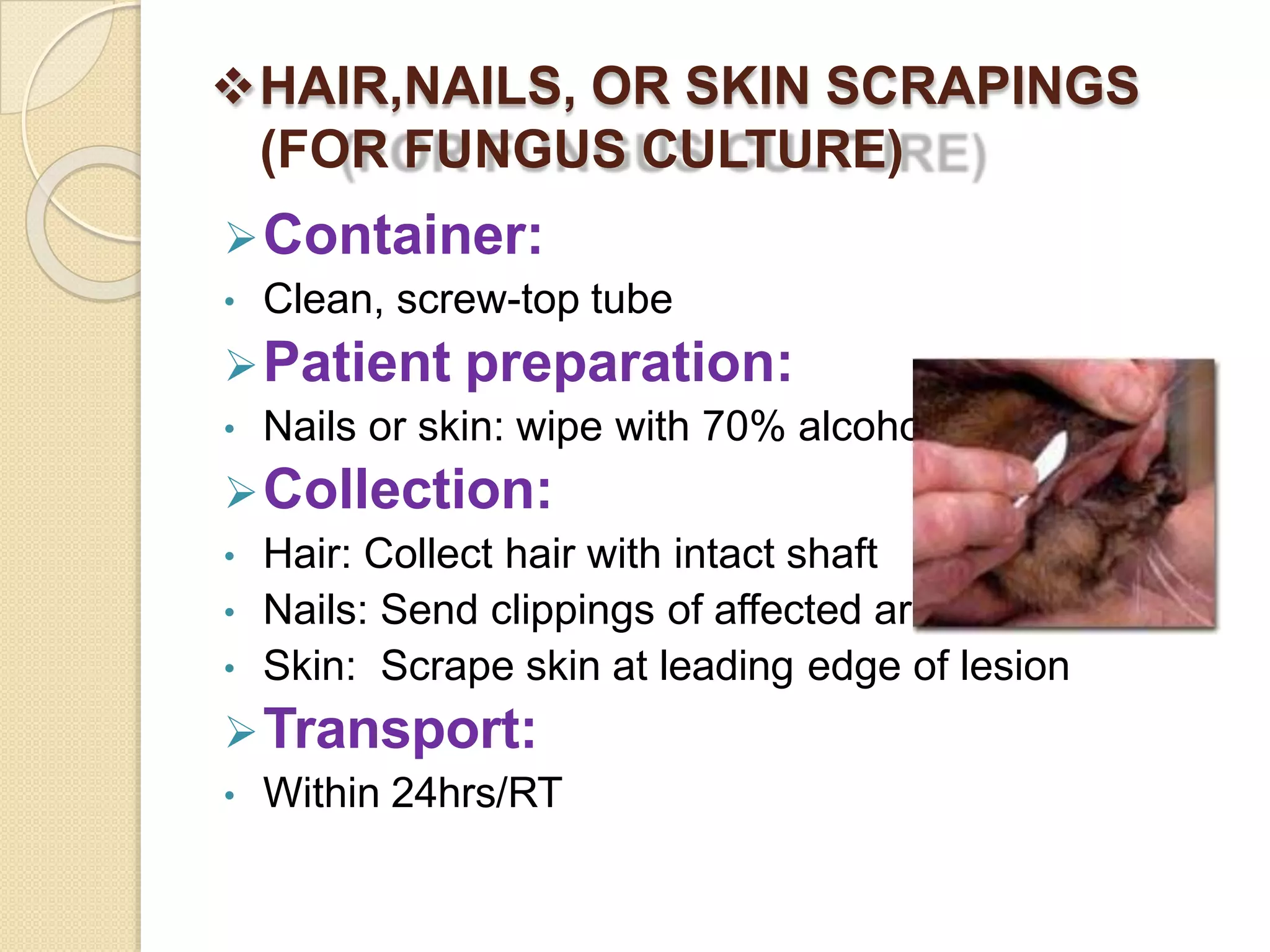 specimen collection and transport | PPTX