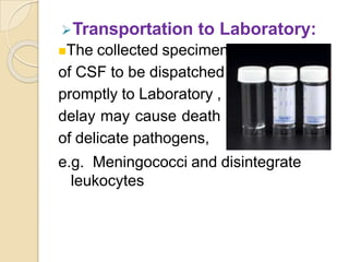 specimen collection and transport | PPTX