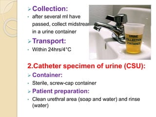 specimen collection and transport | PPTX