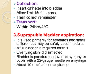 specimen collection and transport | PPTX