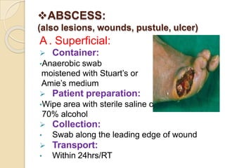 specimen collection and transport | PPTX