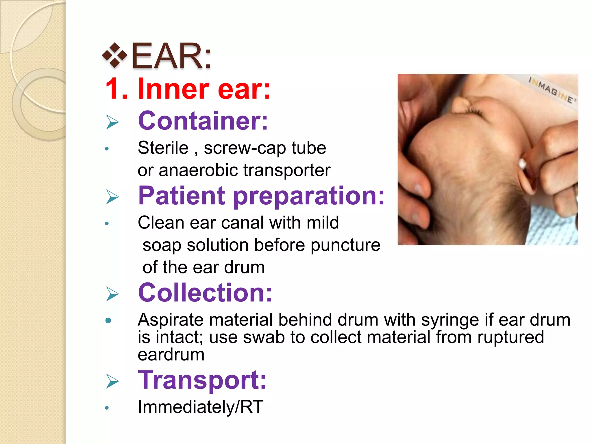 Collection and transport | PPTX