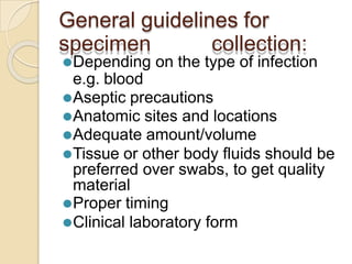 Collection and Transport.pptx