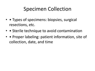 Collection_and_Transportation_of_Specimens_for_Histological_Examination ...