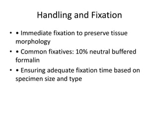 Collection_and_Transportation_of_Specimens_for_Histological_Examination ...