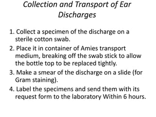 Collection and transport of ear discharges | PPTX
