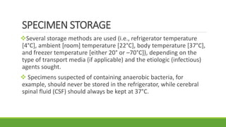 COLLECTION AND TRANSPORT OF SPECIMEN LATEST.pptx