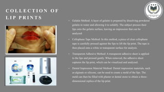 Collection, Identification & Comparison of Lip prints | PPTX