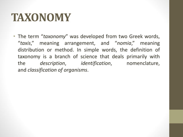 Collection labeling and identification of specimen of spiders | PPTX