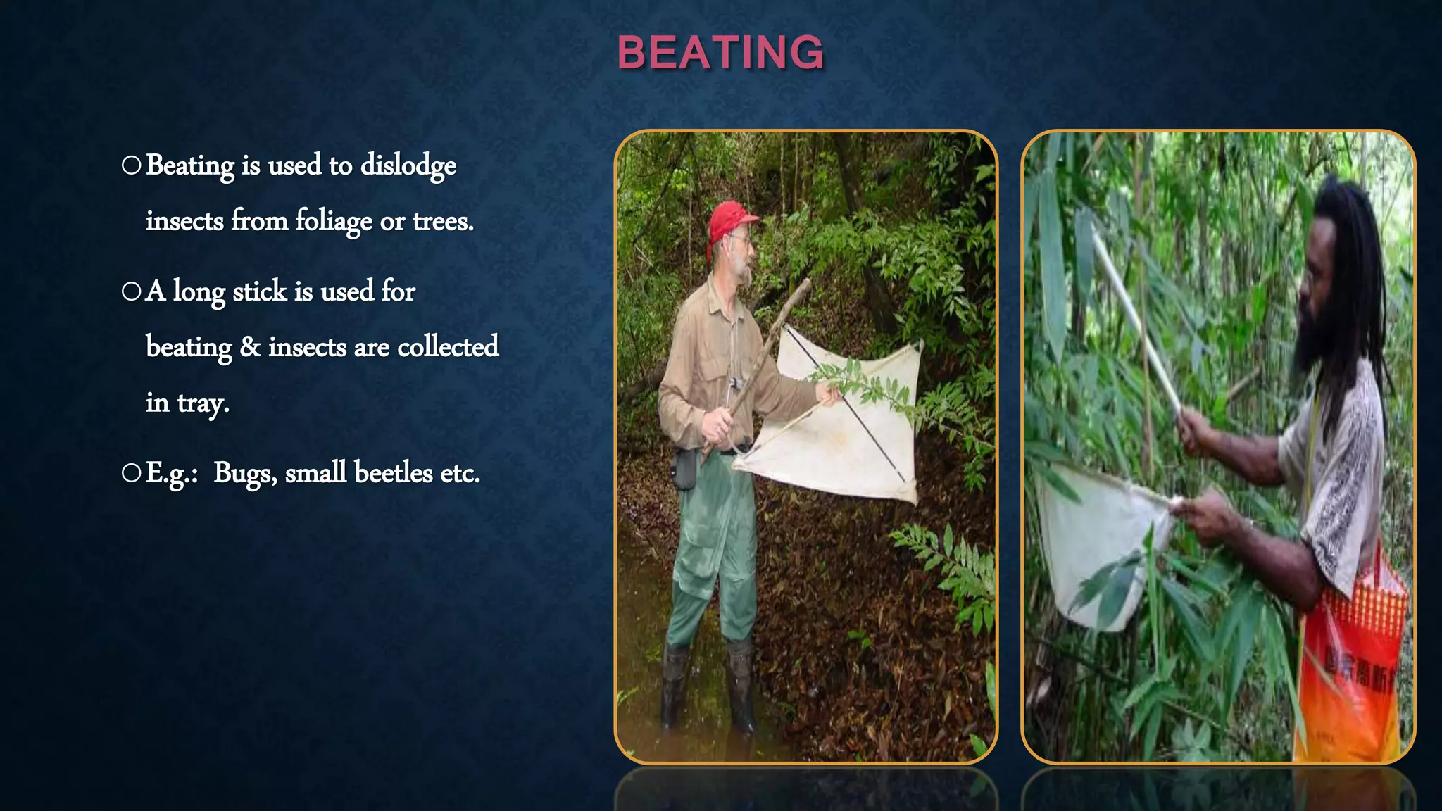 Collection methods | PPTX