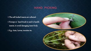 Collection methods | PPTX