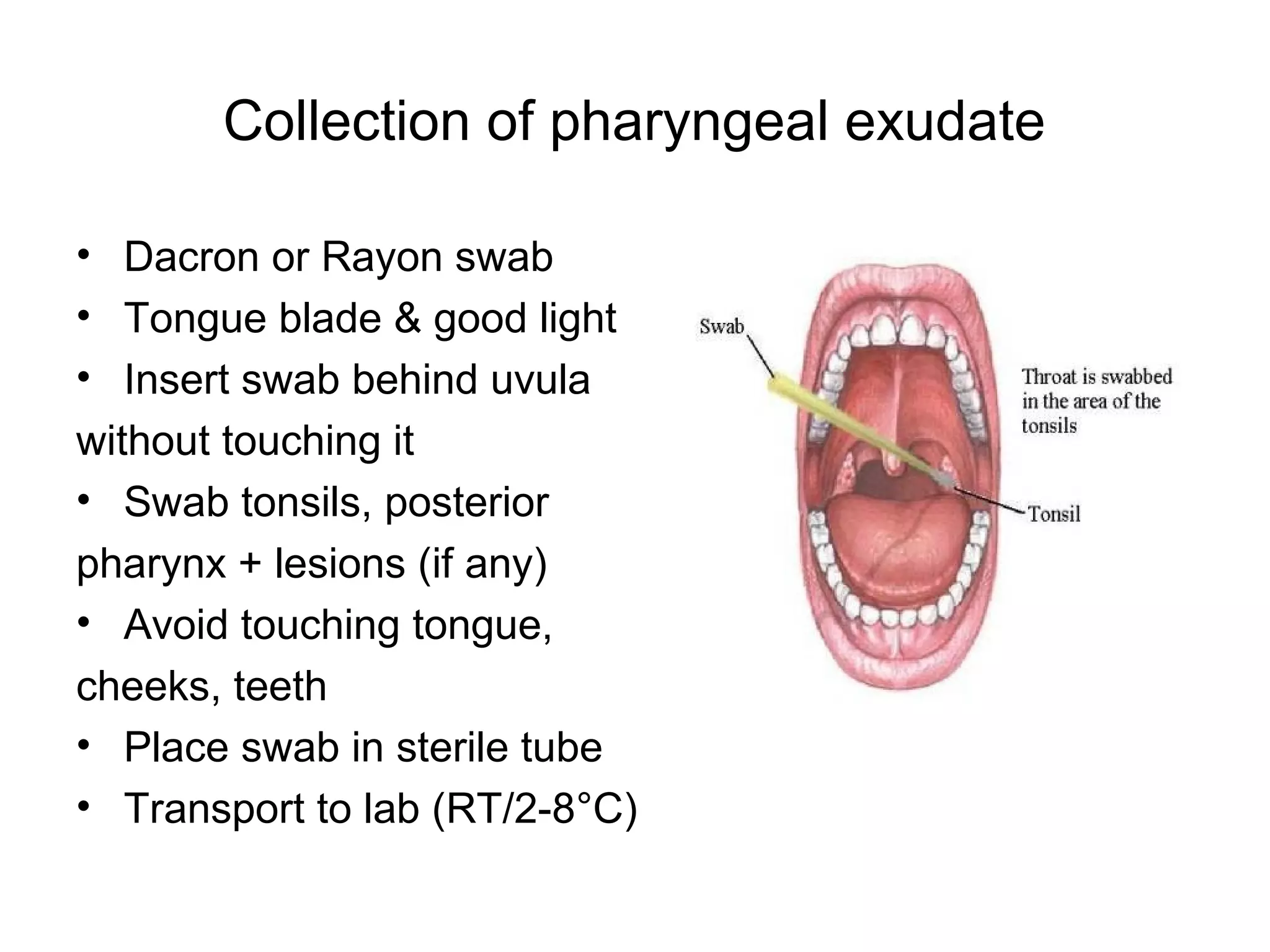 Collection of biological specimens for microbiology tests | PPT