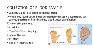 Collection of blood Sample - physiology practical | PPTX