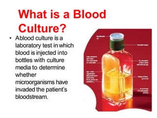 collection of blood culture.pptx