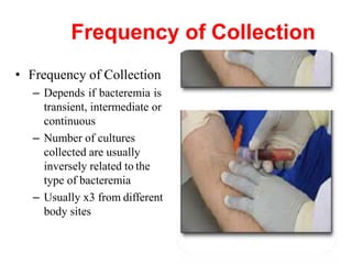 collection of blood culture.pptx