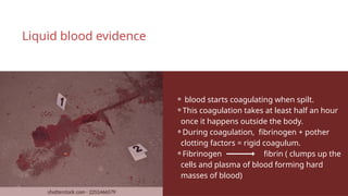 COLLECTION OF BLOOD EVIDENCE in Forensics.pptx