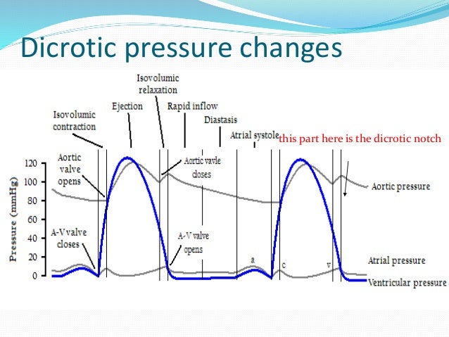 Collection of cathtracings,Dr Virbhan